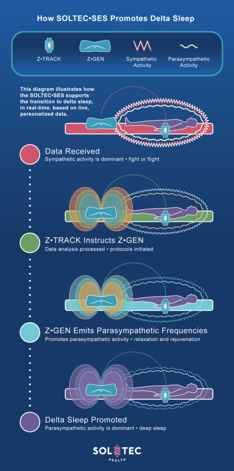 What Is Delta Sleep & Why Is It Important? | SOLTEC HEALTH