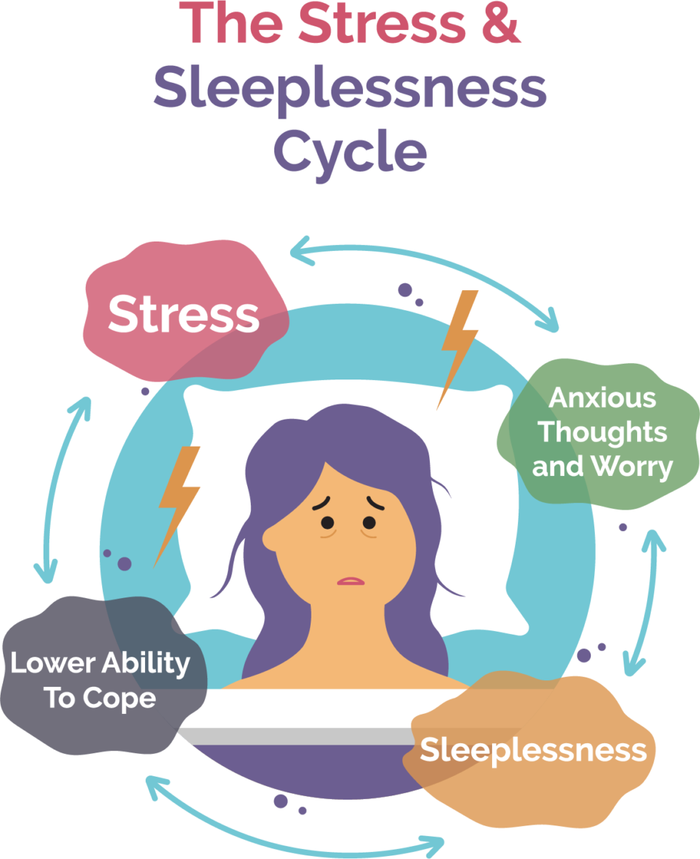 SLEEP & STRESS - SOLTEC HEALTH